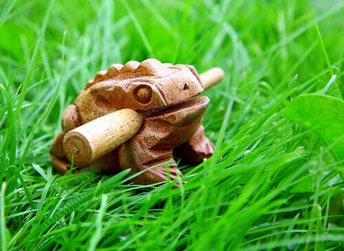 Conheça 5 animais relacionados à boa sorte - Meus Animais